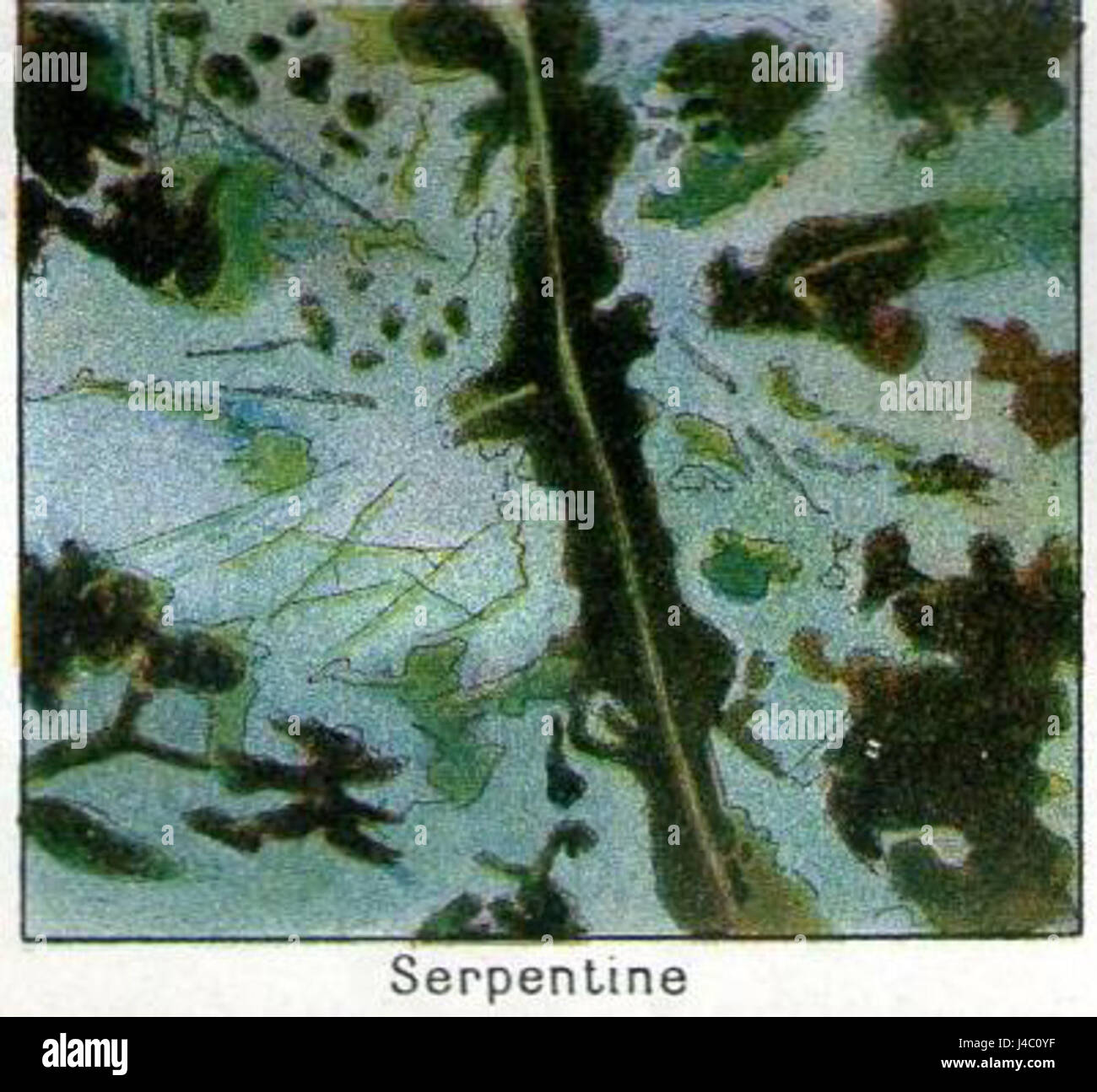 Beauty of serpentine forms in nature hi-res stock photography and ...