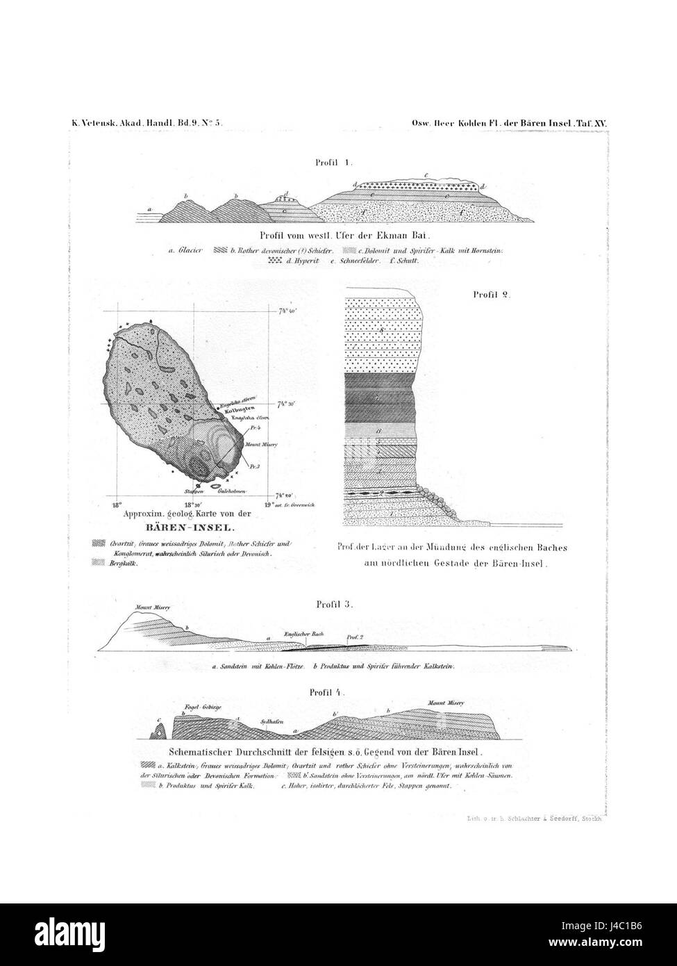 Plant protection cold Black and White Stock Photos & Images - Alamy