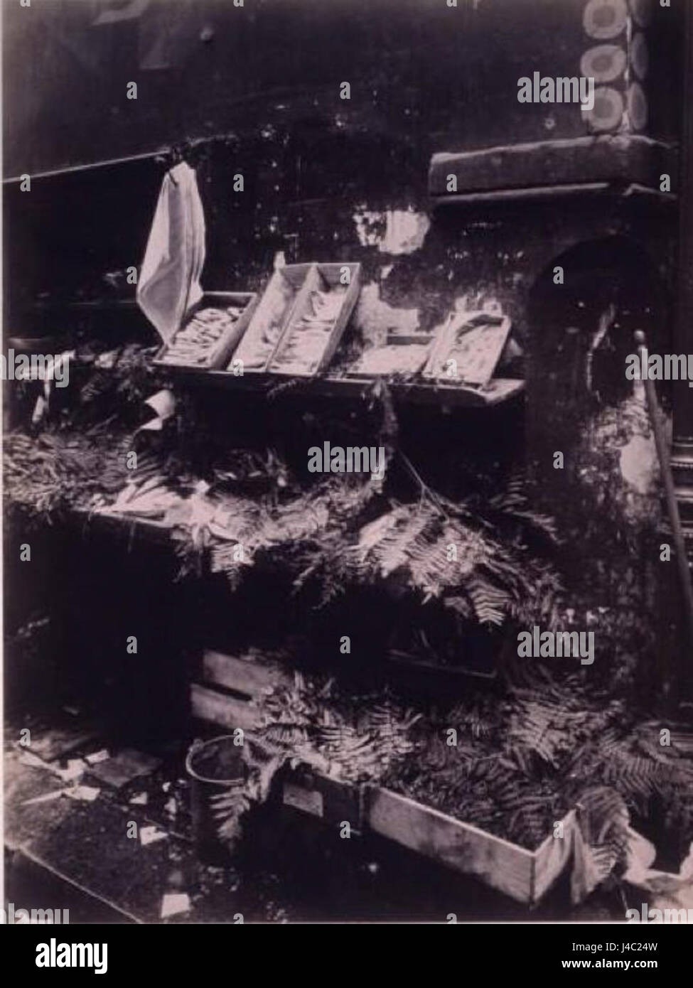 'Poissonnier de la rue Mouffetard' is a French phrase meaning ...