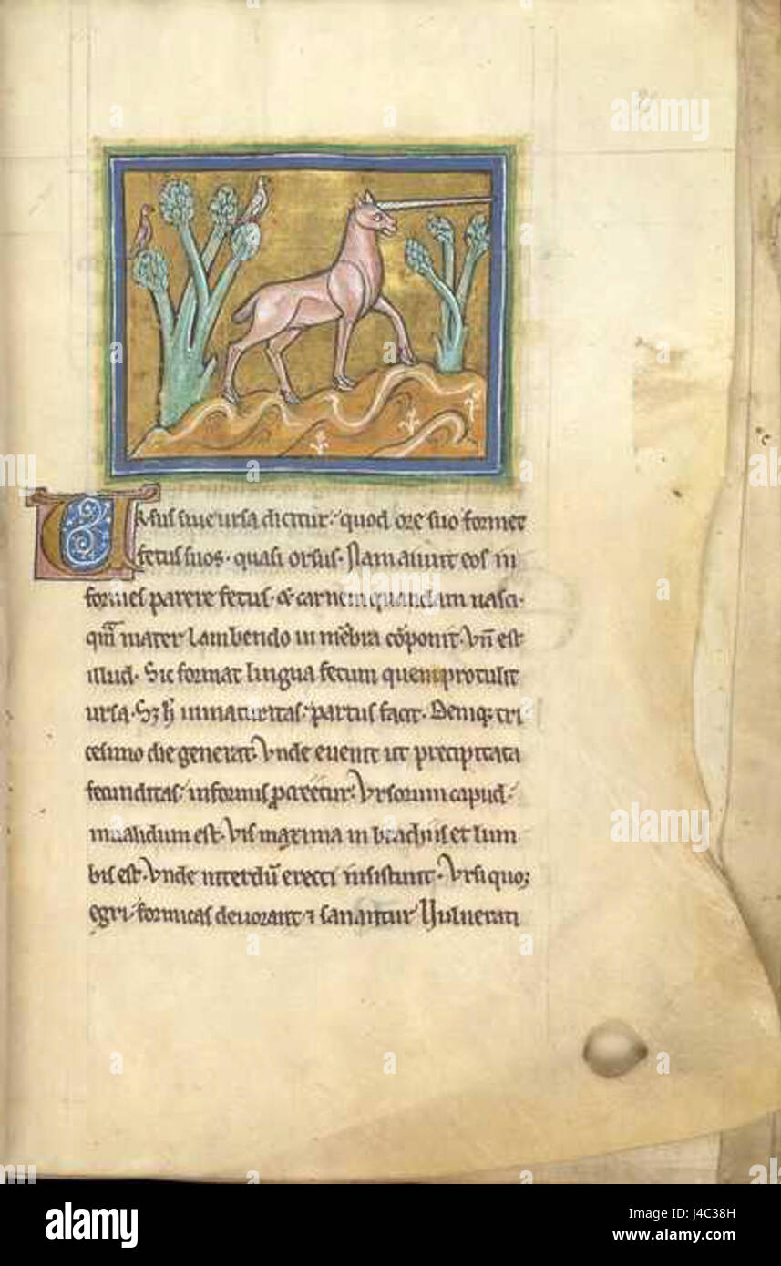 The 'Rochester Bestiary' is a medieval manuscript that includes ...