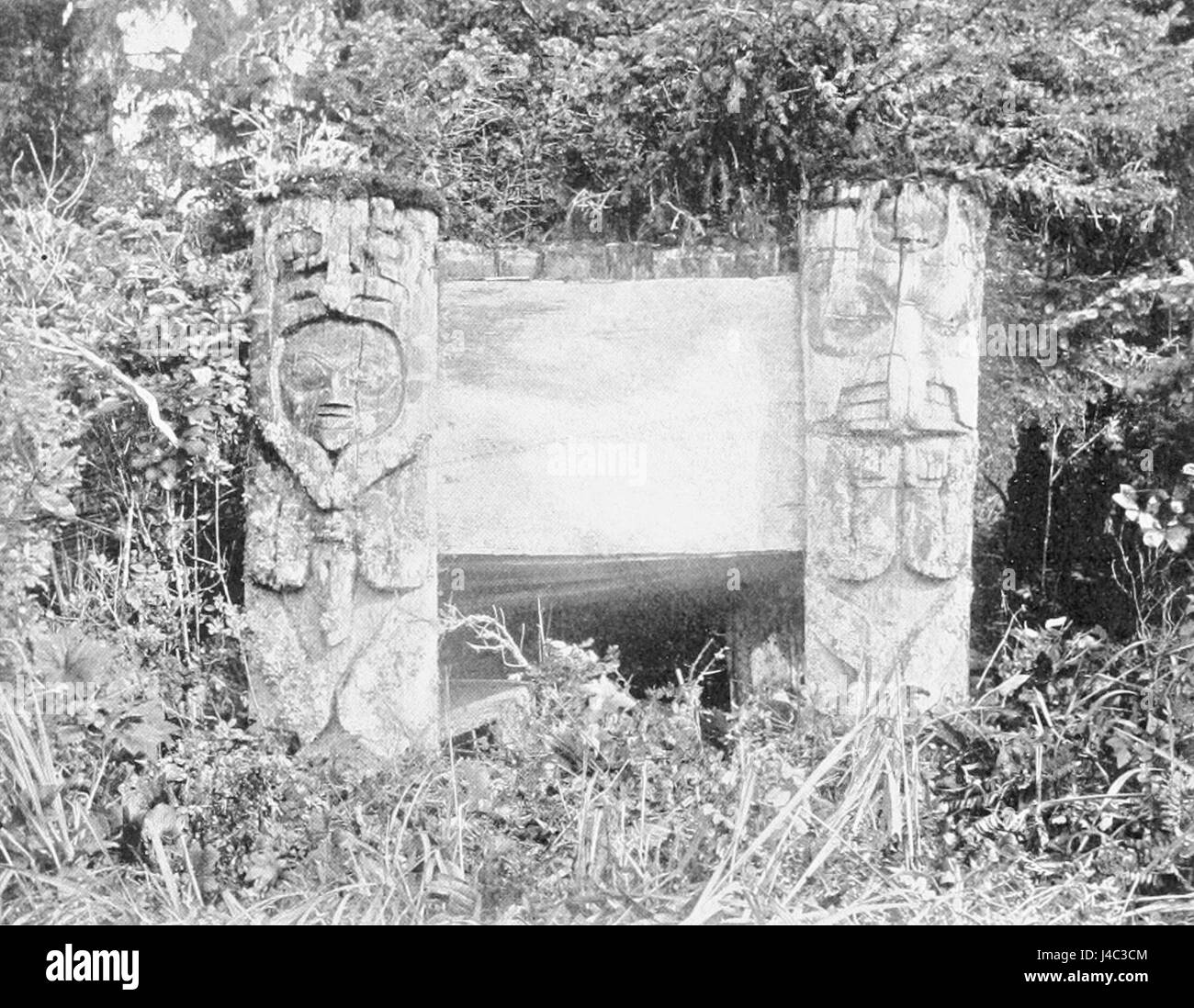 The PSM V53 D184 image depicts a grave of a Haida chief located on the ...