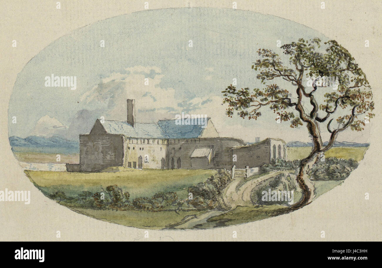 Rhuddlan Abbey 02166 Stock Photo - Alamy