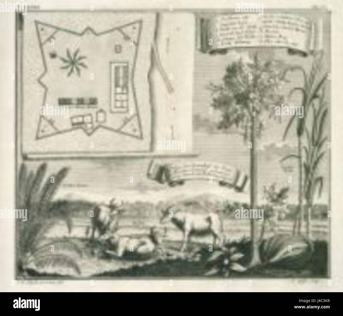 Post Meester Cornelis Batavia 1744 Stock Photo - Alamy