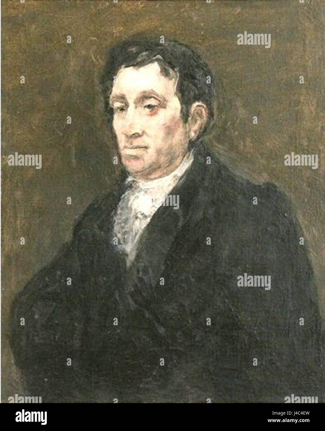 The portrait of Jose Pio de Molina, created by Francisco de Goya, is a ...