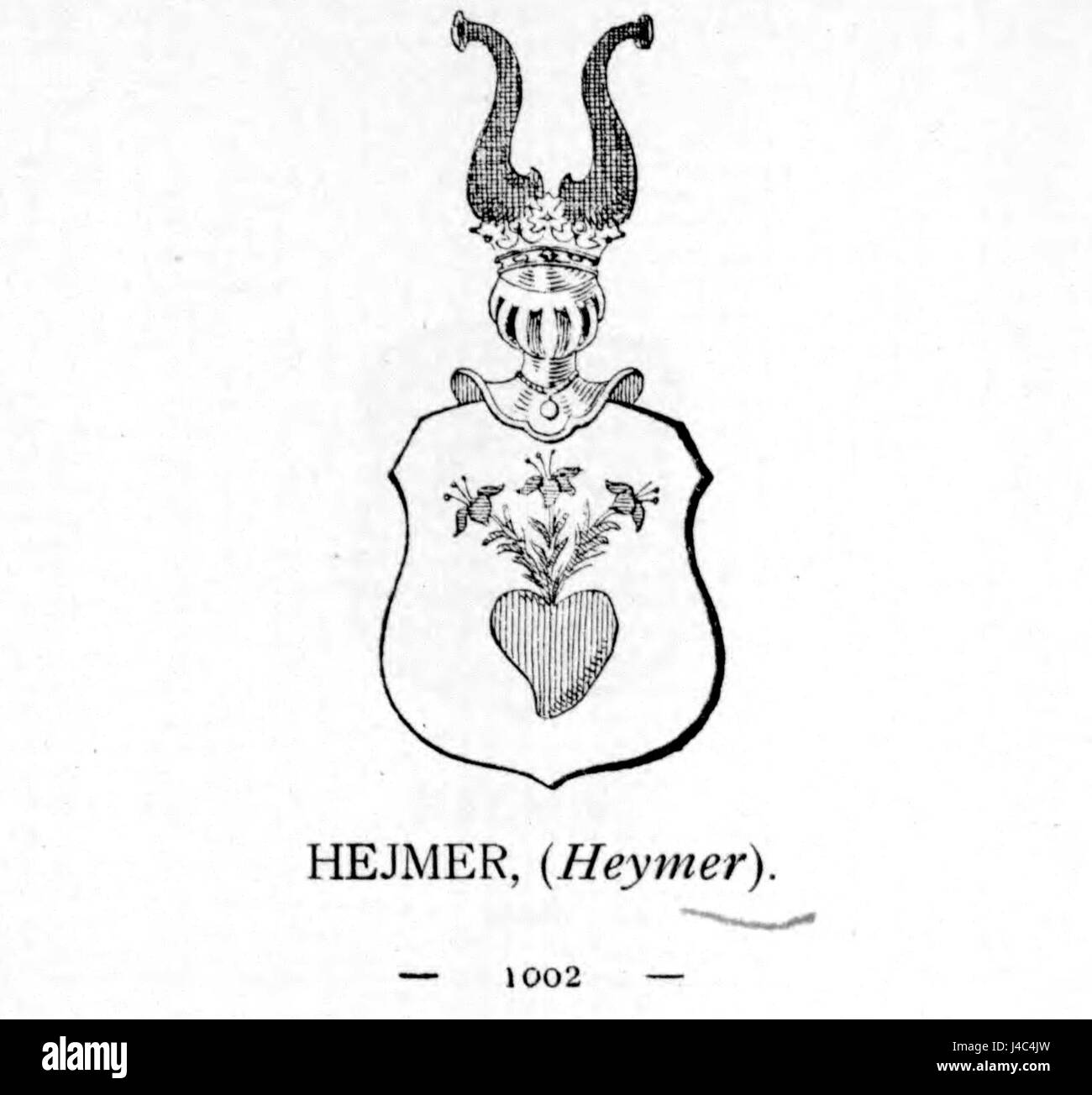 POL COA Hejmer is a specific type of engineering or technical process ...