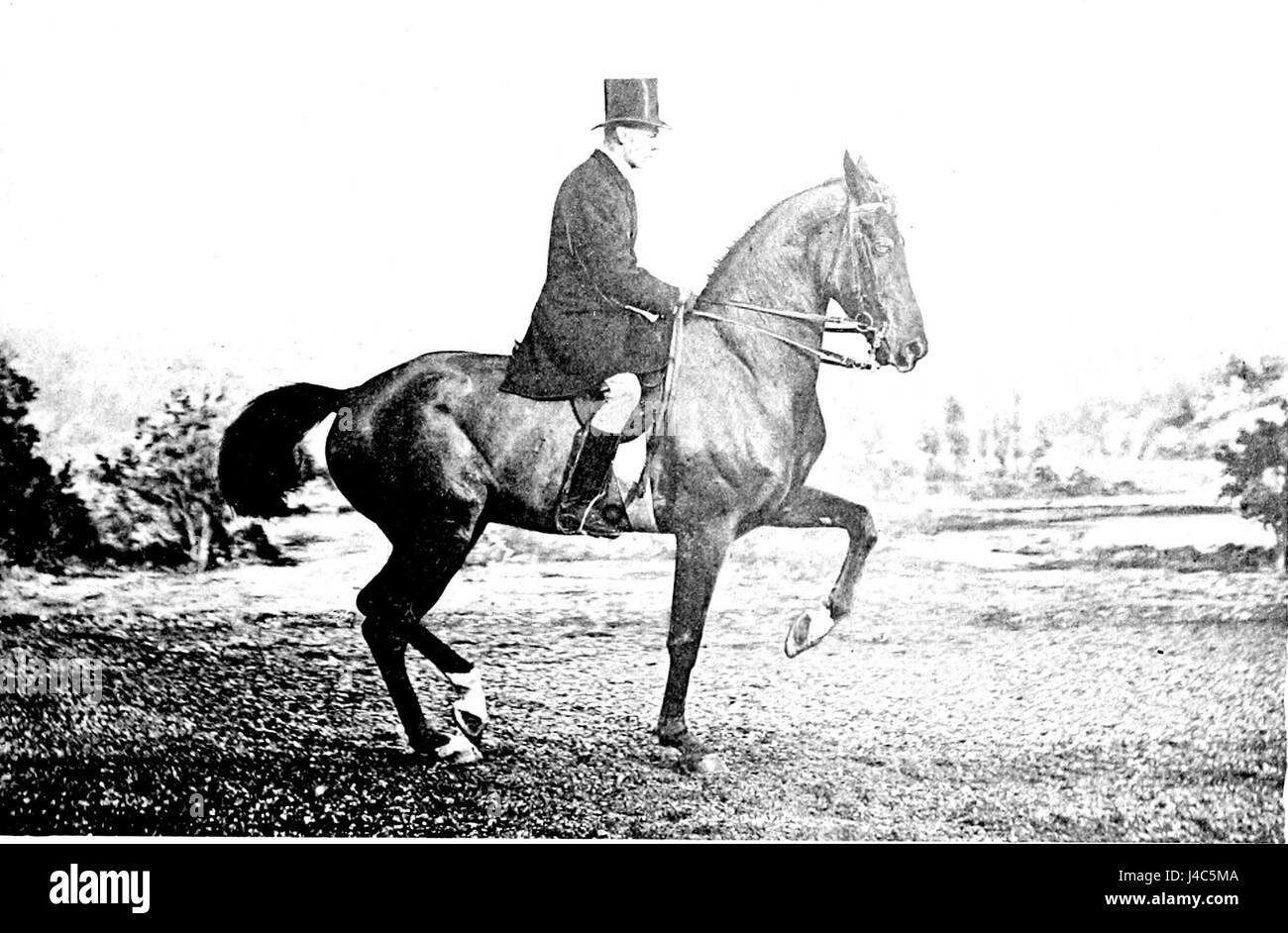 *Principes de Dressage* is a classic text on horsemanship, focusing on ...