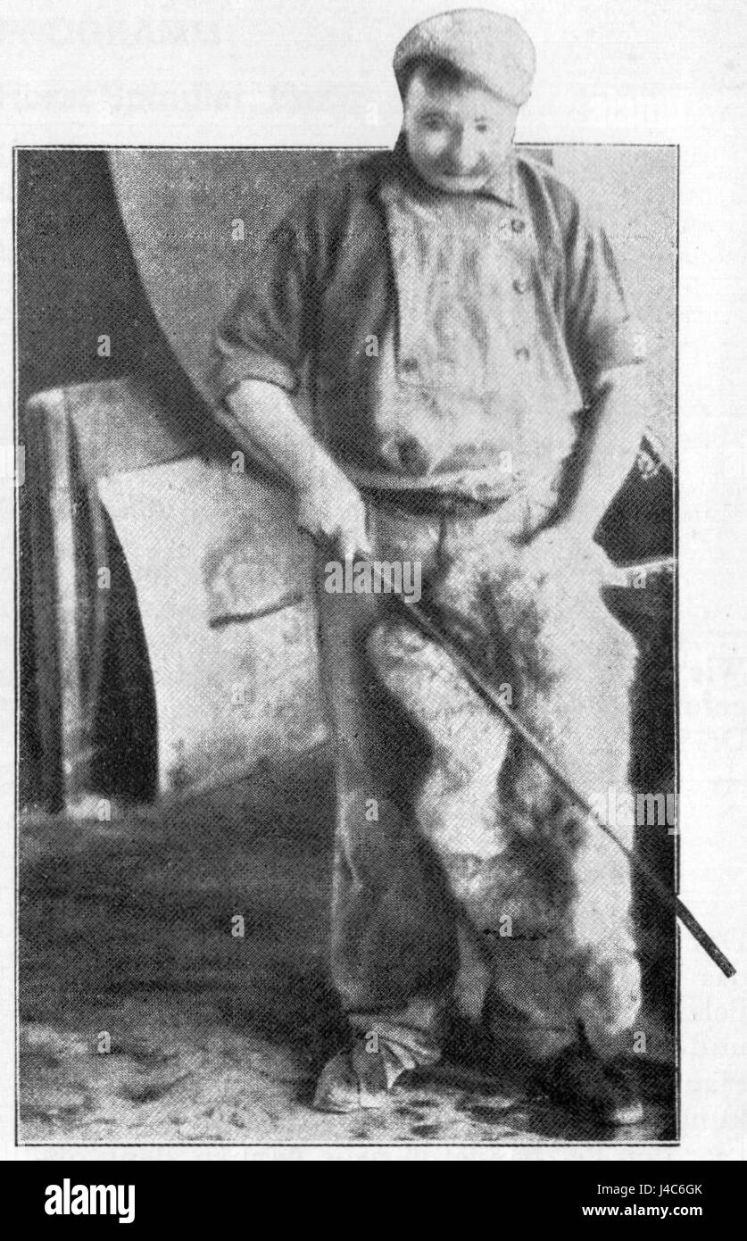 This photograph, taken in 1911, shows a furrier (Pelz Zurichter) at ...
