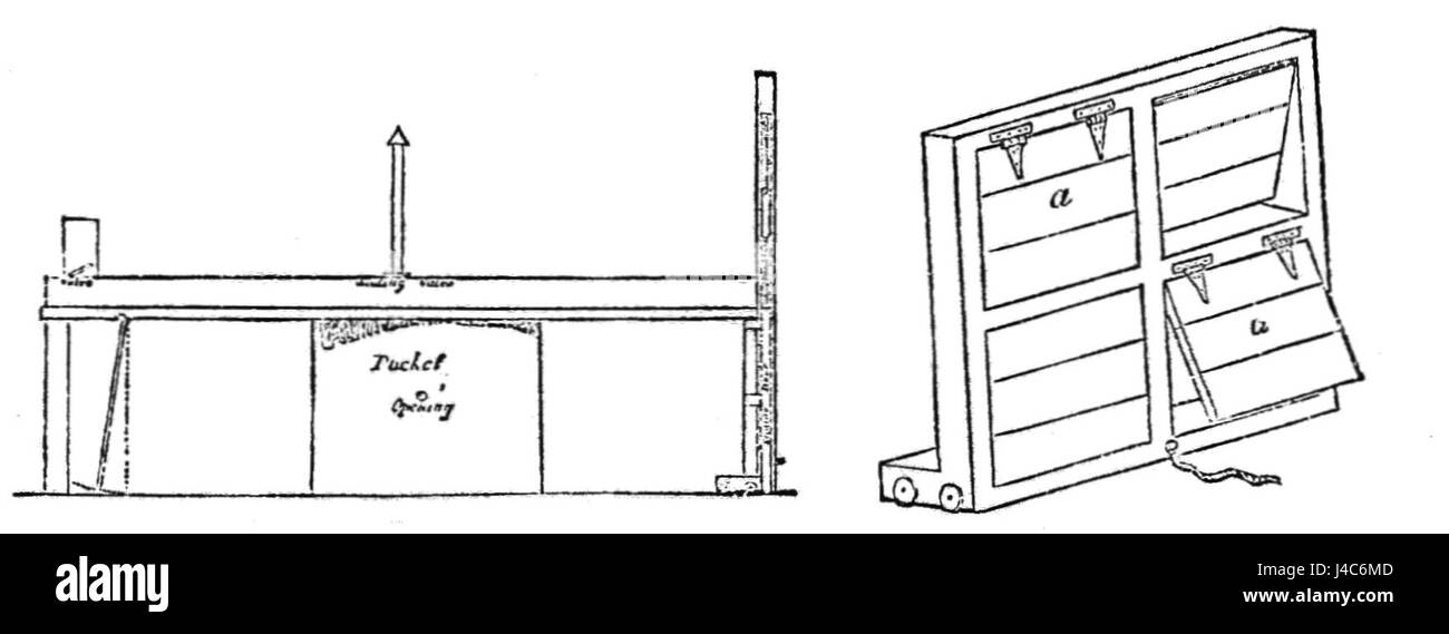 Fig 1 Cut Out Stock Images & Pictures - Alamy