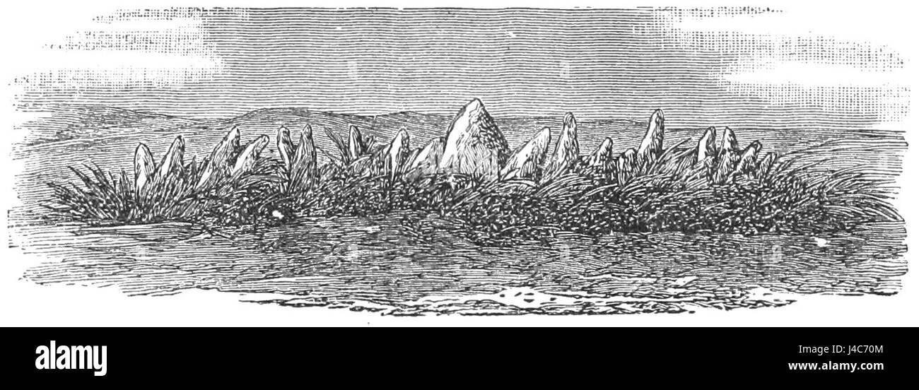 Complex designs Black and White Stock Photos & Images - Alamy