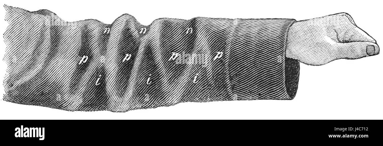 Inner folds hi-res stock photography and images - Alamy