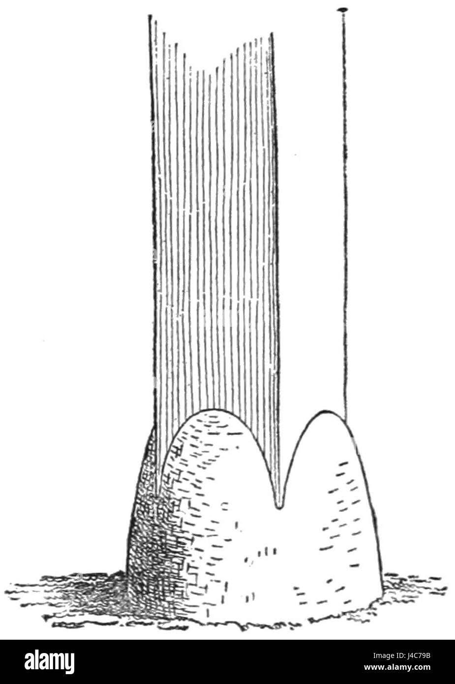 Foundation project Cut Out Stock Images & Pictures - Alamy