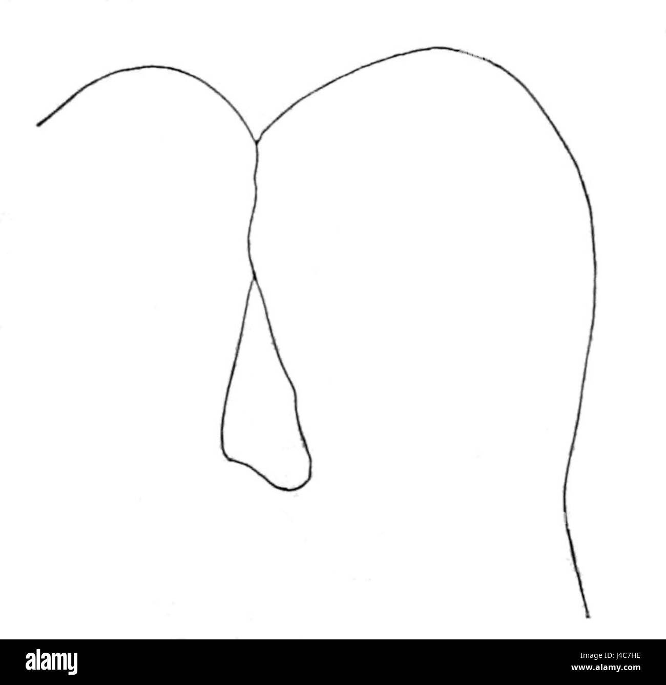 Brought for Cut Out Stock Images & Pictures - Alamy