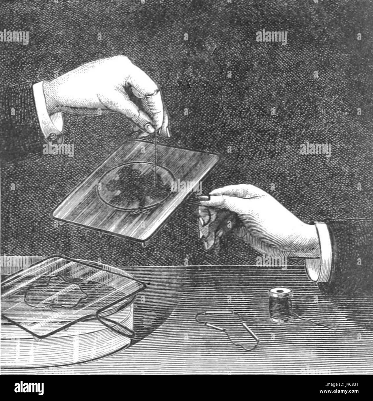 Surface tension experiment Black and White Stock Photos & Images - Alamy