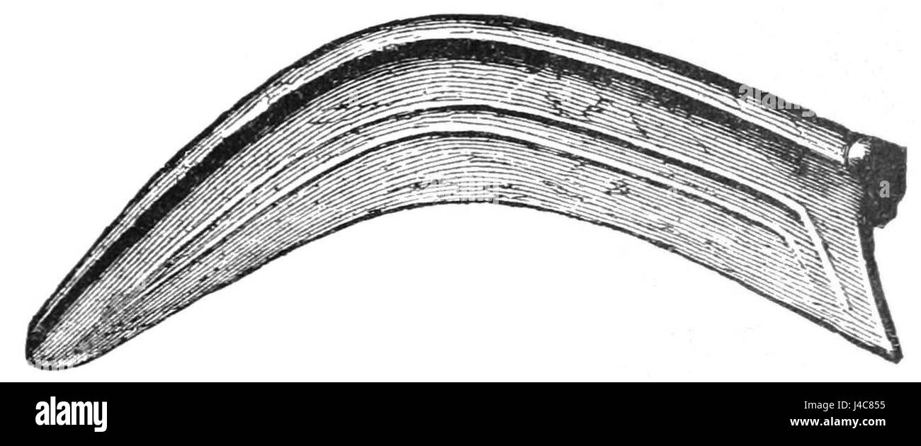 This image from Popular Science Monthly (Volume 35, D809) illustrates a ...