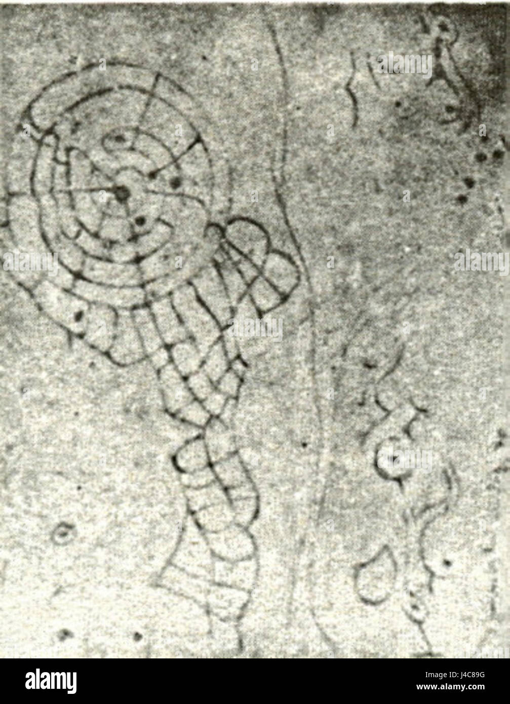 Esperon hi-res stock photography and images - Alamy