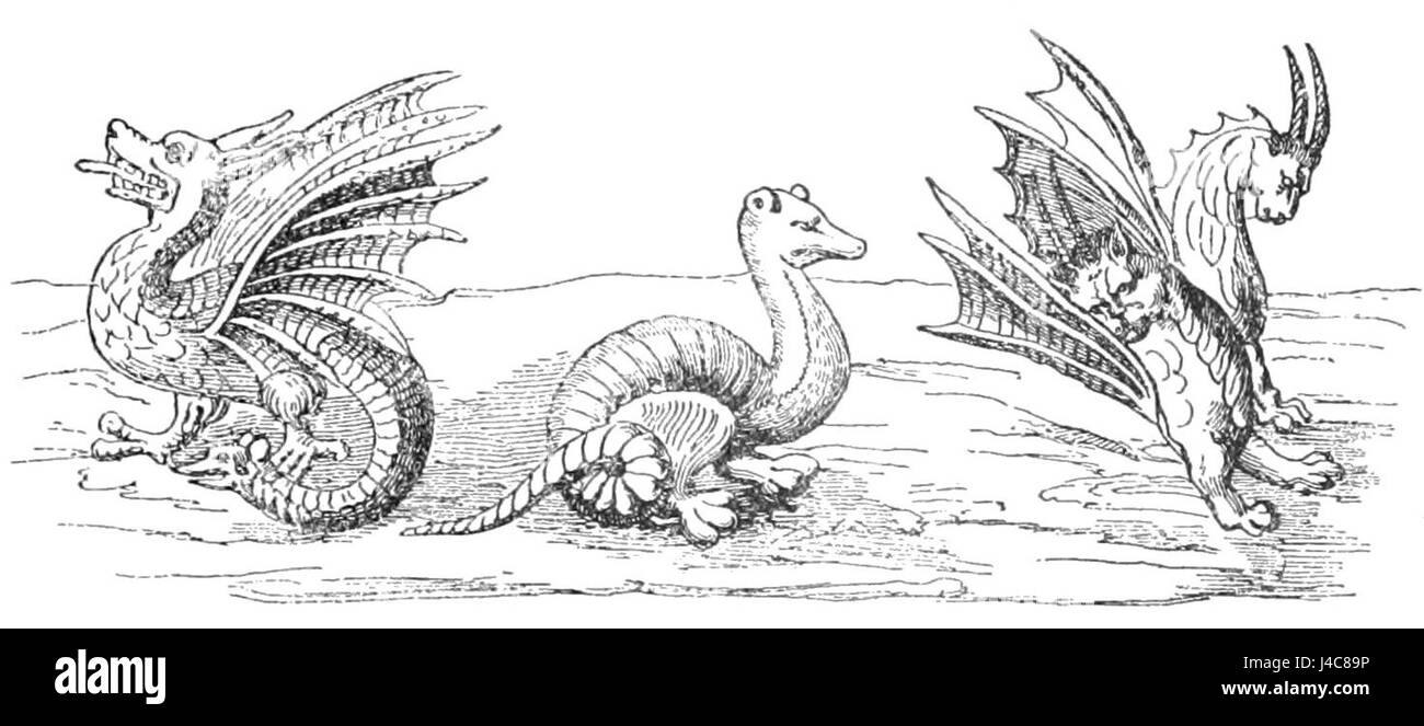 PSM V36 D829 Winged dragons fourteenth century Stock Photo - Alamy