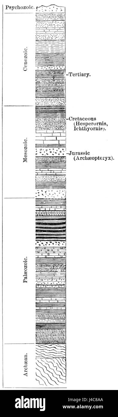The section of the Earth's crust, as depicted in the illustration from ...