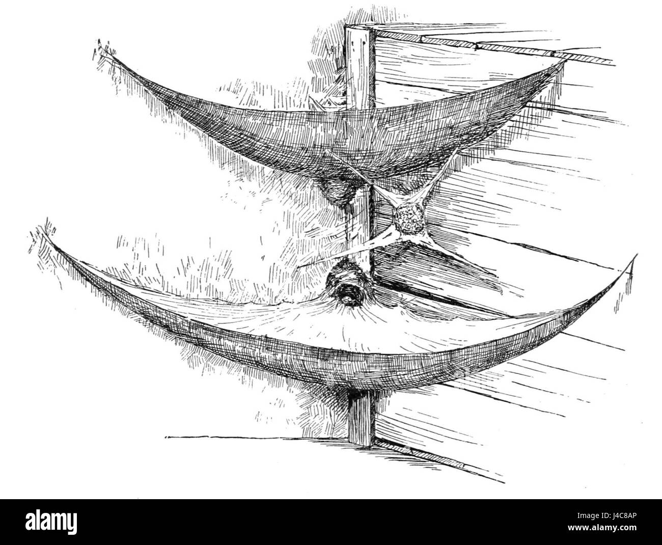 This image from PSM V37 D056 depicts the pouch web tower and cocoon of ...