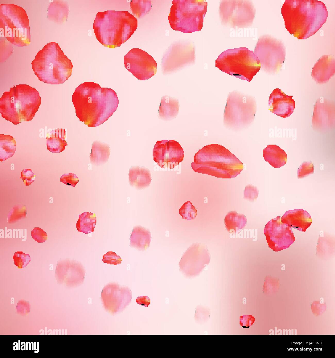 A lot of falling red rose petals on pink background Stock Vector Image ...