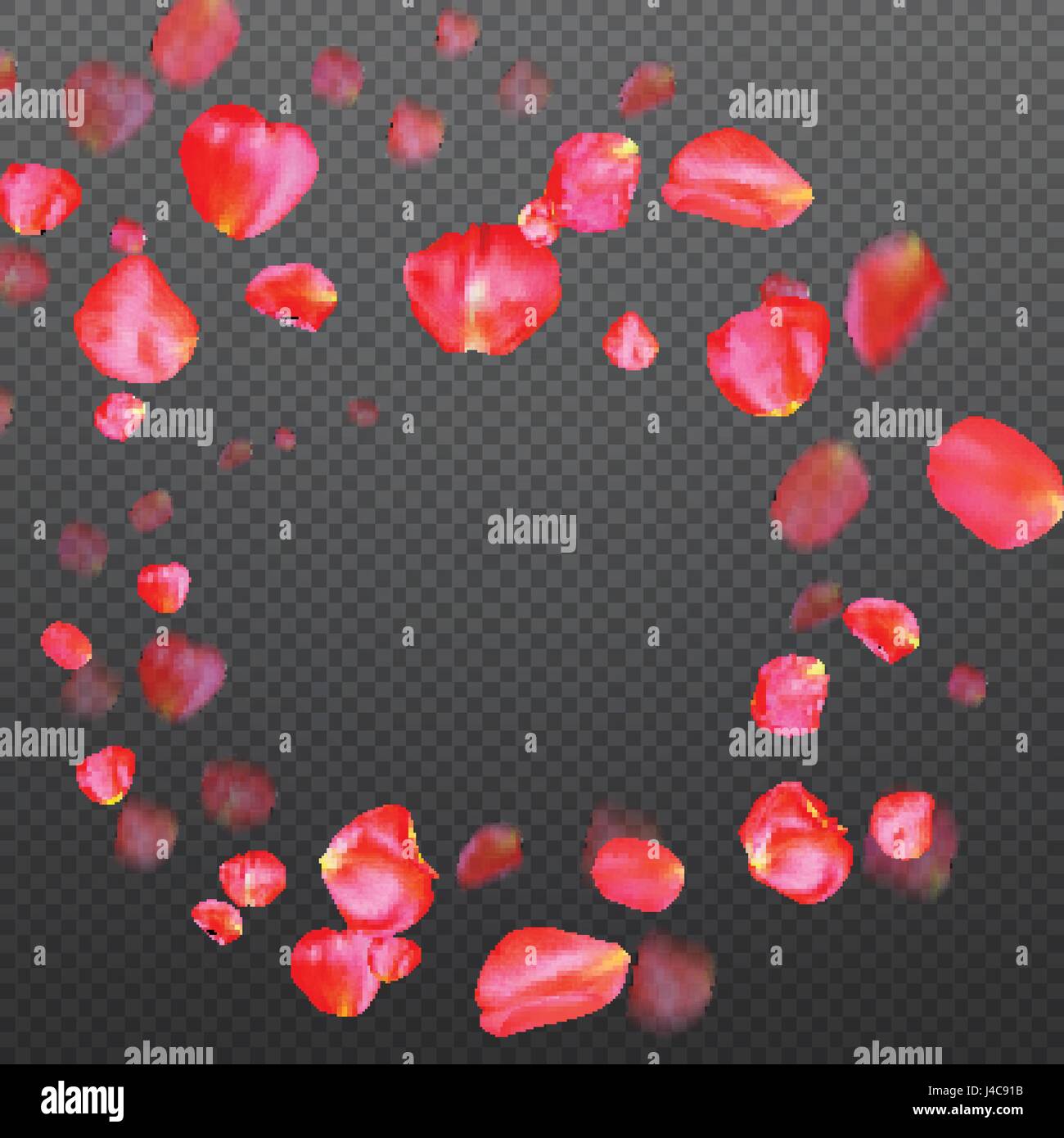 A lot of falling red rose petals on transparent background Stock Vector ...