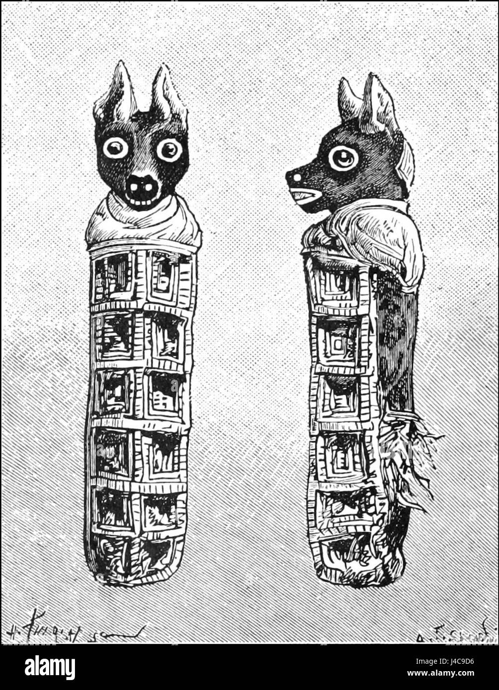 This image features an Egyptian mummy of a dog, providing both front ...