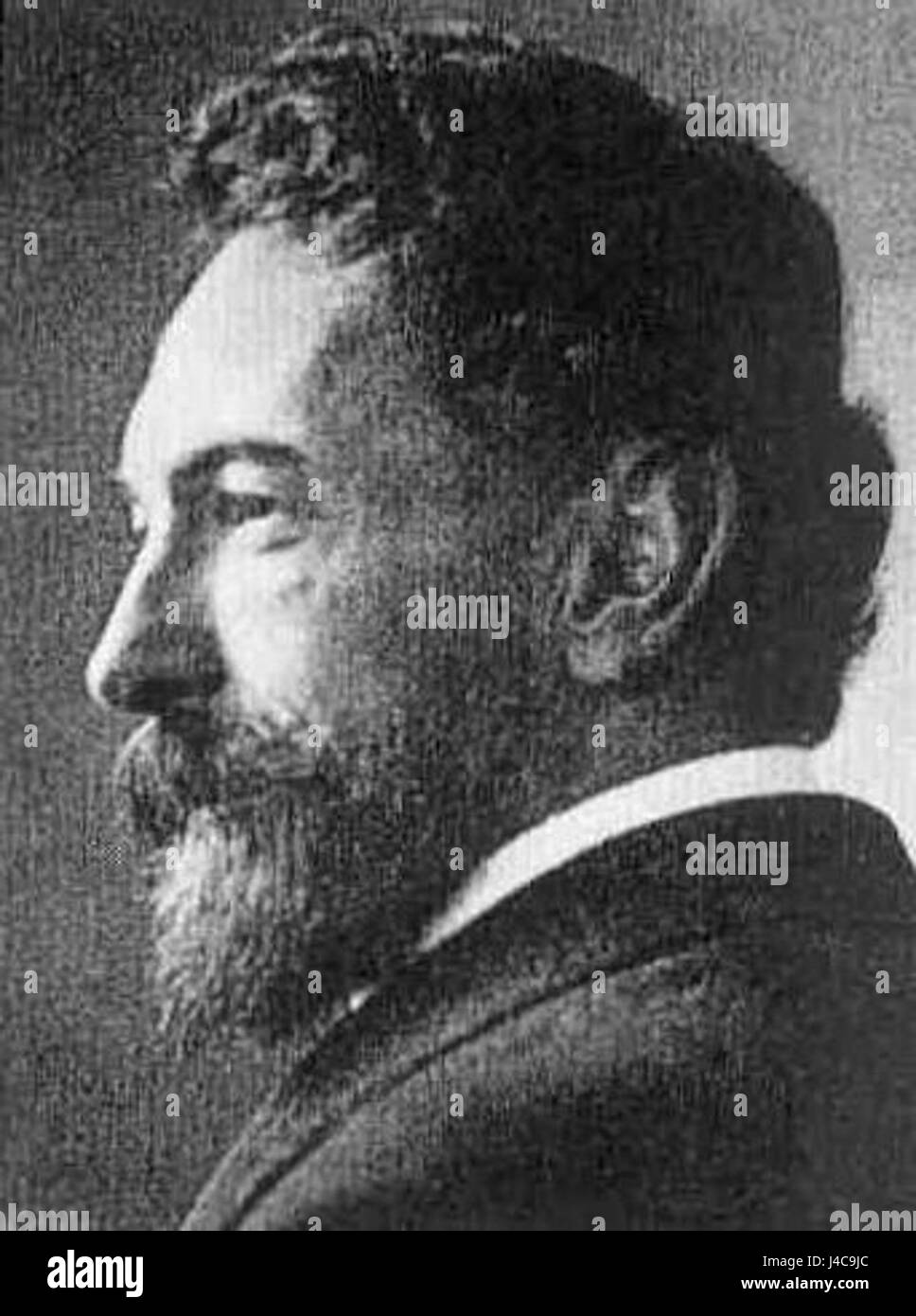 Richard Zsigmondy was a German chemist known for his pioneering work in ...