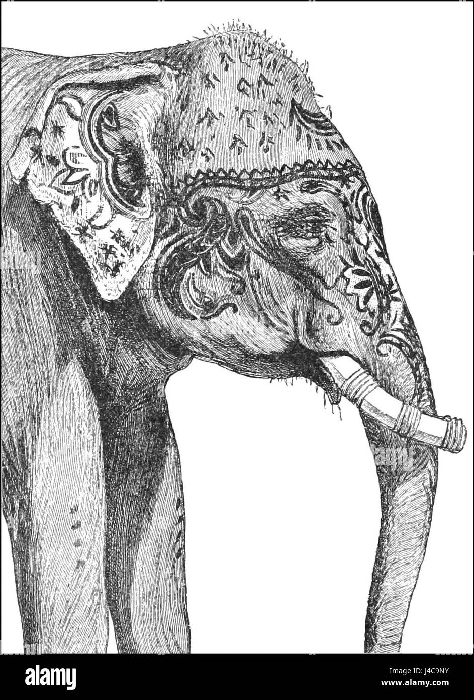 Artistic science Black and White Stock Photos & Images - Alamy