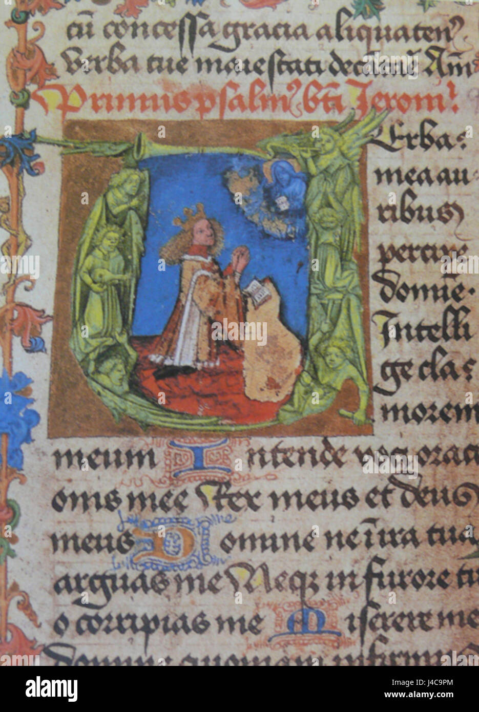 Lineage terminology hi-res stock photography and images - Alamy