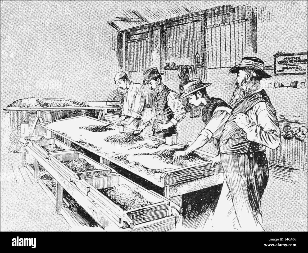 This image from PSM V41 D477 depicts the process of sorting gravel for ...