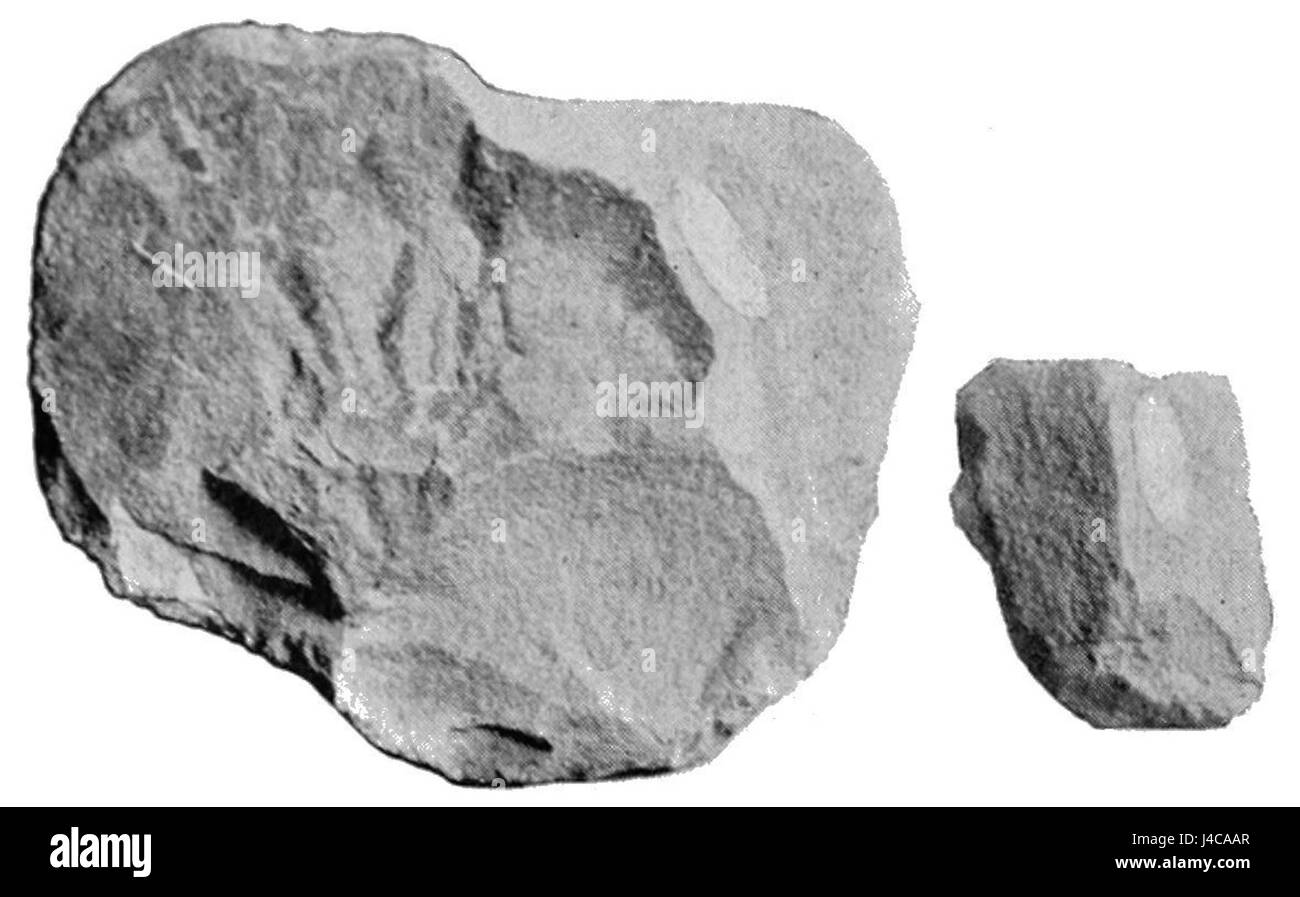 Ancient stone tools man Cut Out Stock Images & Pictures - Alamy