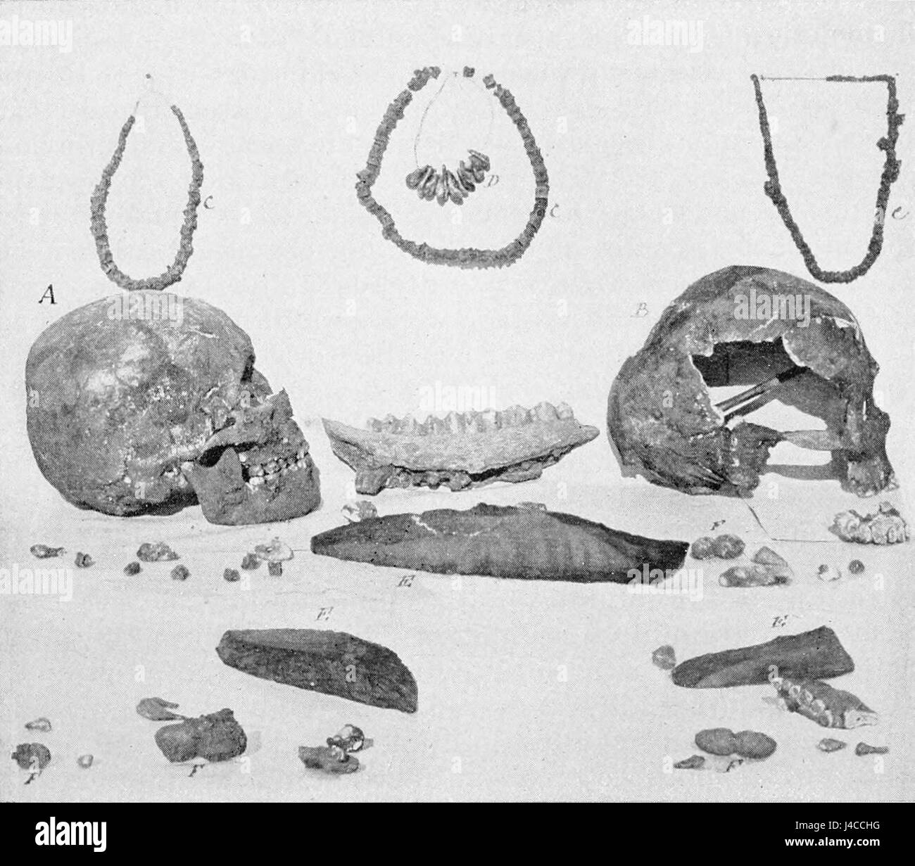 Tools of the paleolithic period hi-res stock photography and images - Alamy