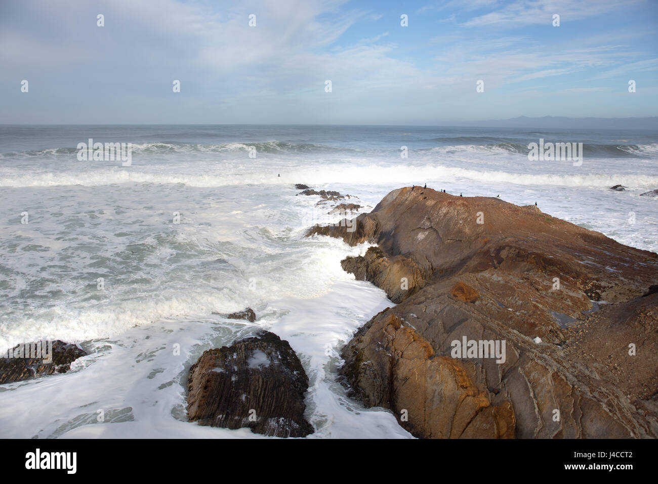 Los osos and california hi-res stock photography and images - Alamy