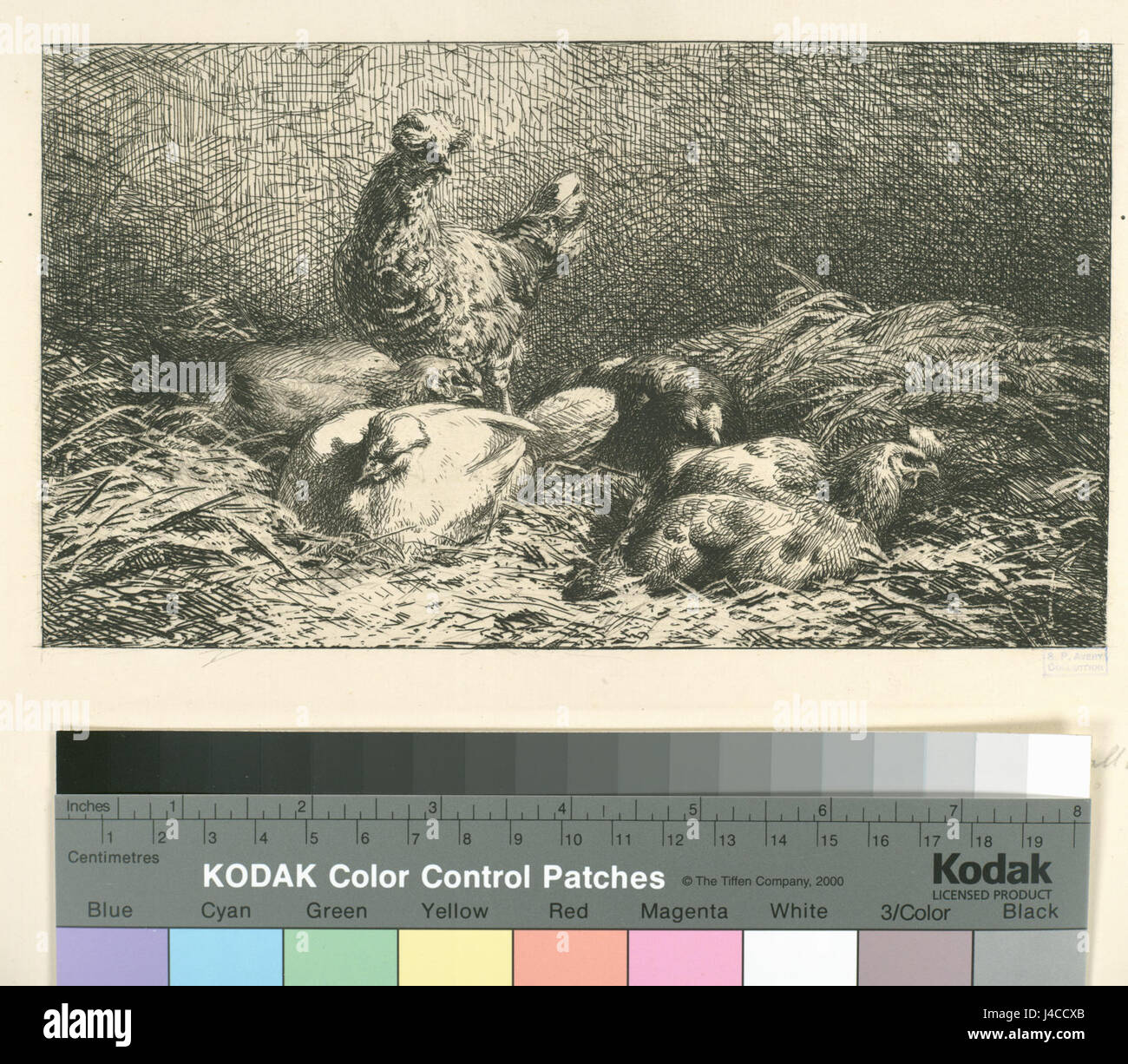 'Poules' is an image from the New York Public Library collection ...