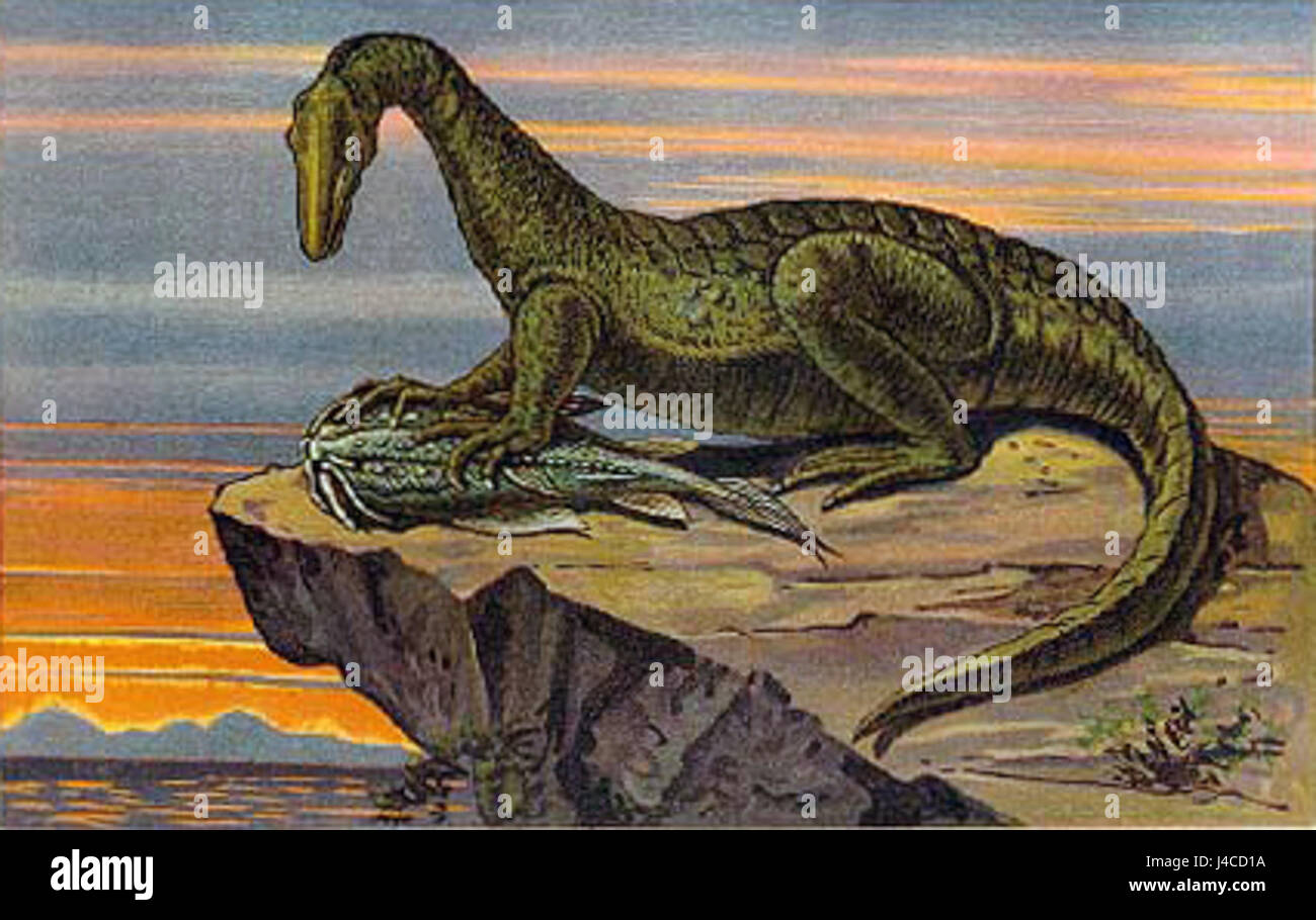 Protorosaurus and Menaspis Stock Photo - Alamy