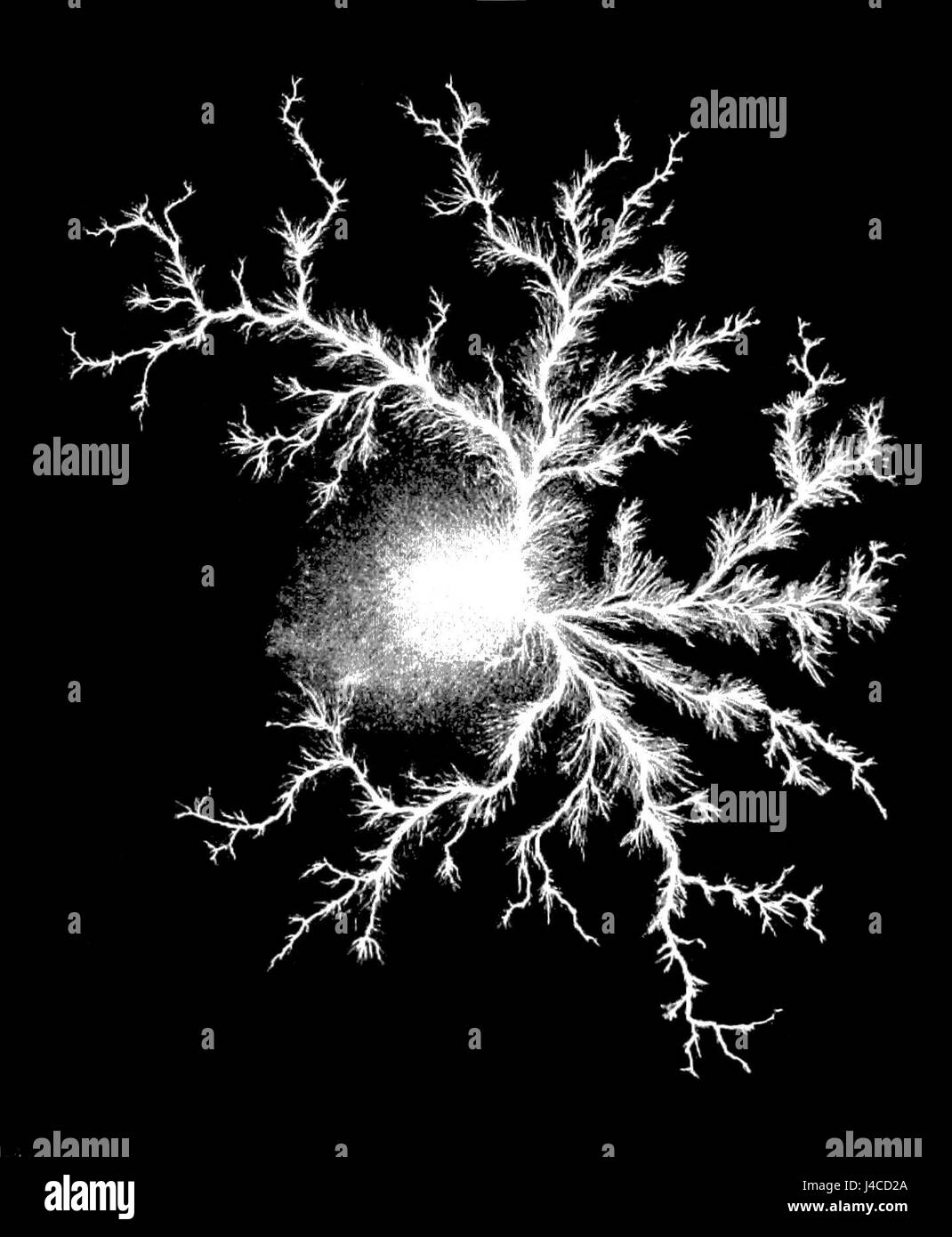 Popular positive Black and White Stock Photos & Images - Alamy