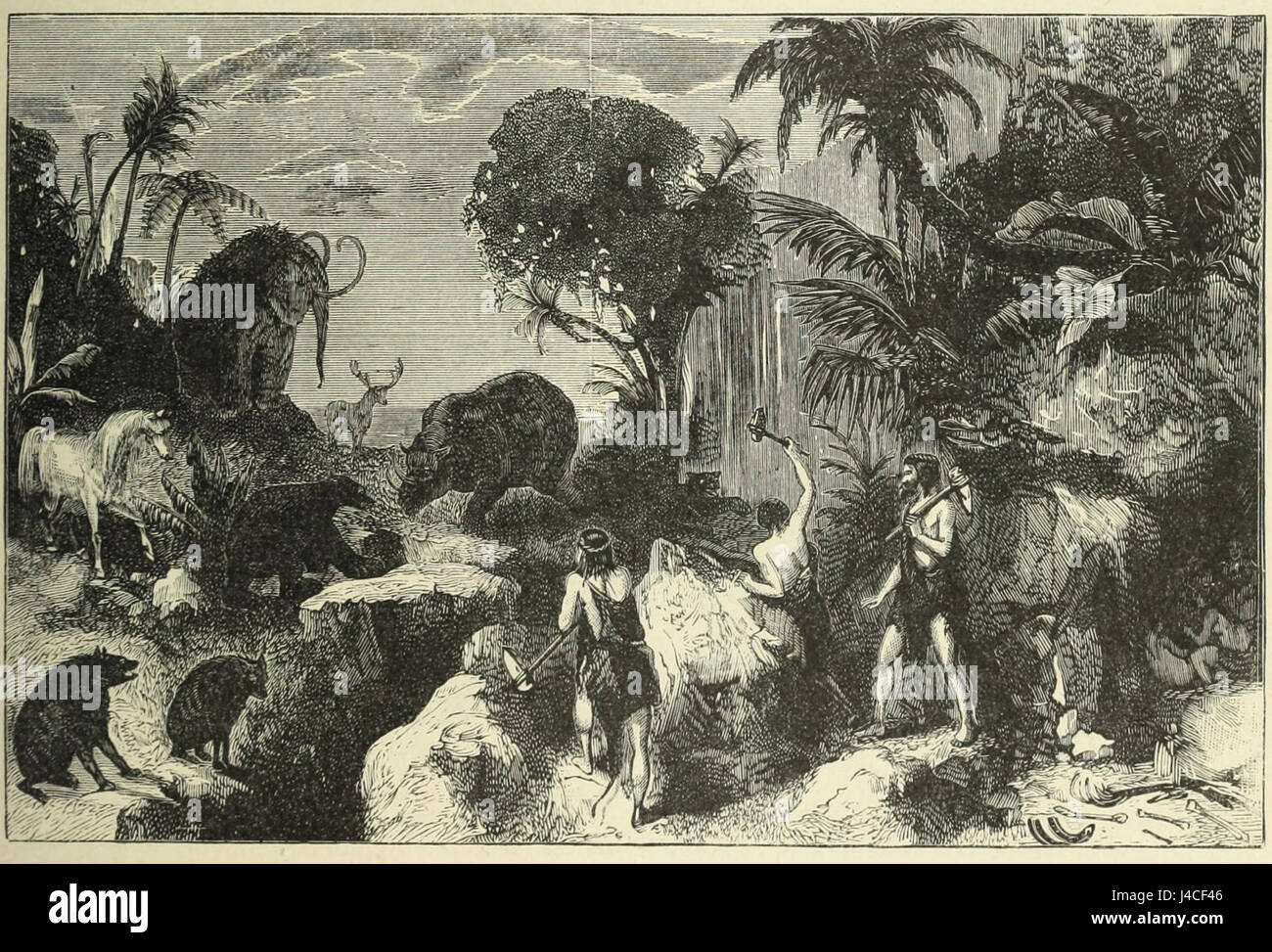 This representation of prehistoric man illustrates the early stages of ...