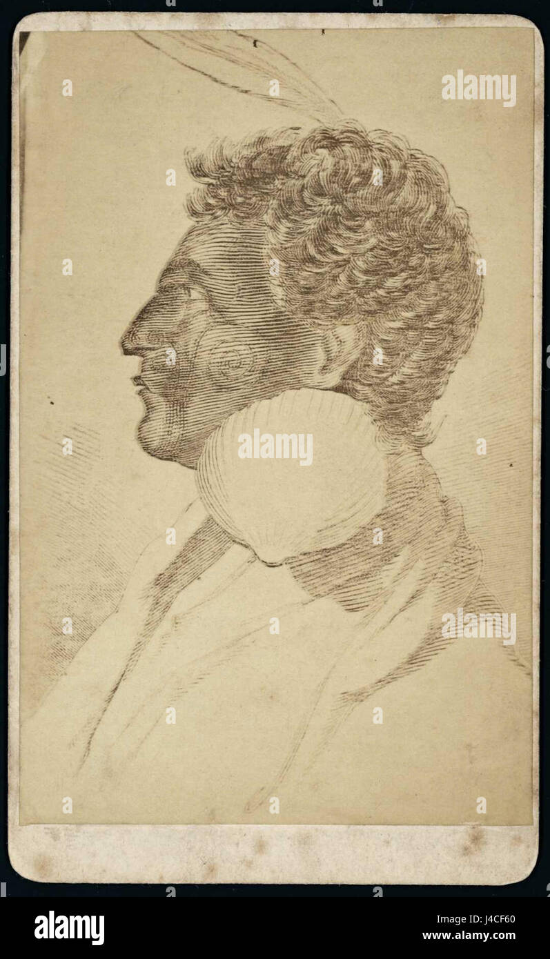 Portrait of Te Rauparaha. Photograph of an illustration that was ...