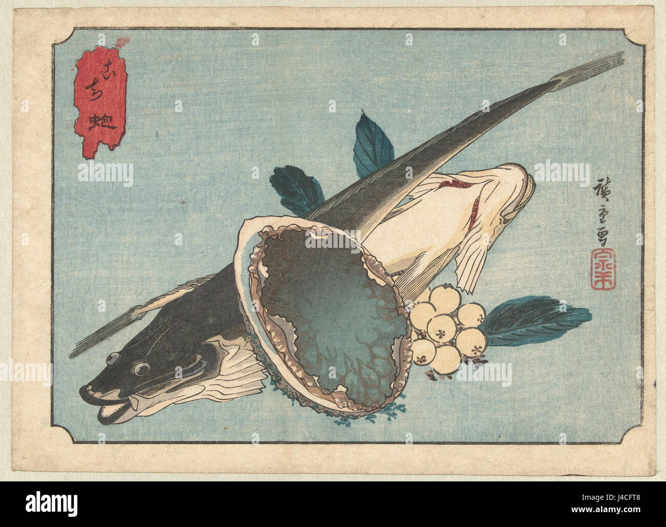 This piece, held at the Rijksmuseum, depicts platfish, abalone, and ...