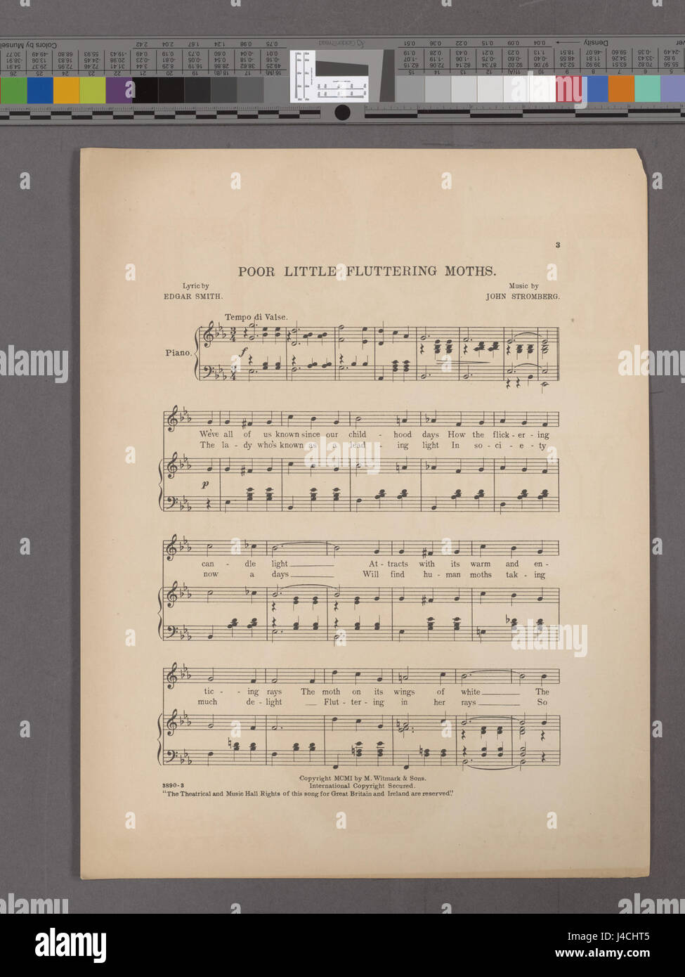 This image of 'Poor little fluttering moths' captures the delicate ...