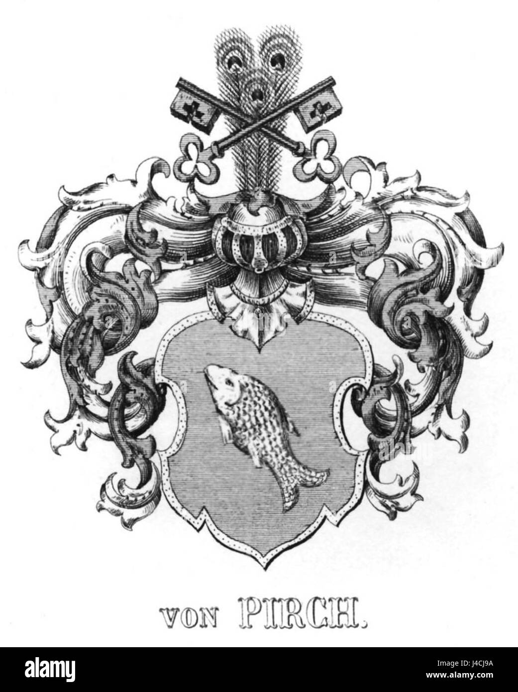 Pirch hi-res stock photography and images - Alamy