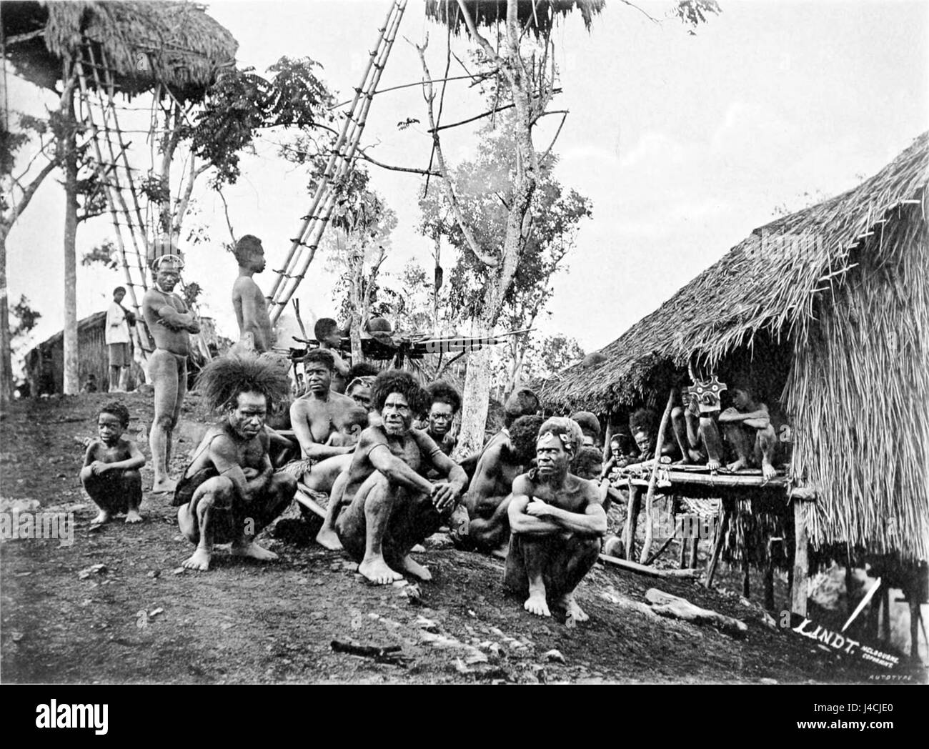 Koiari hi-res stock photography and images - Alamy