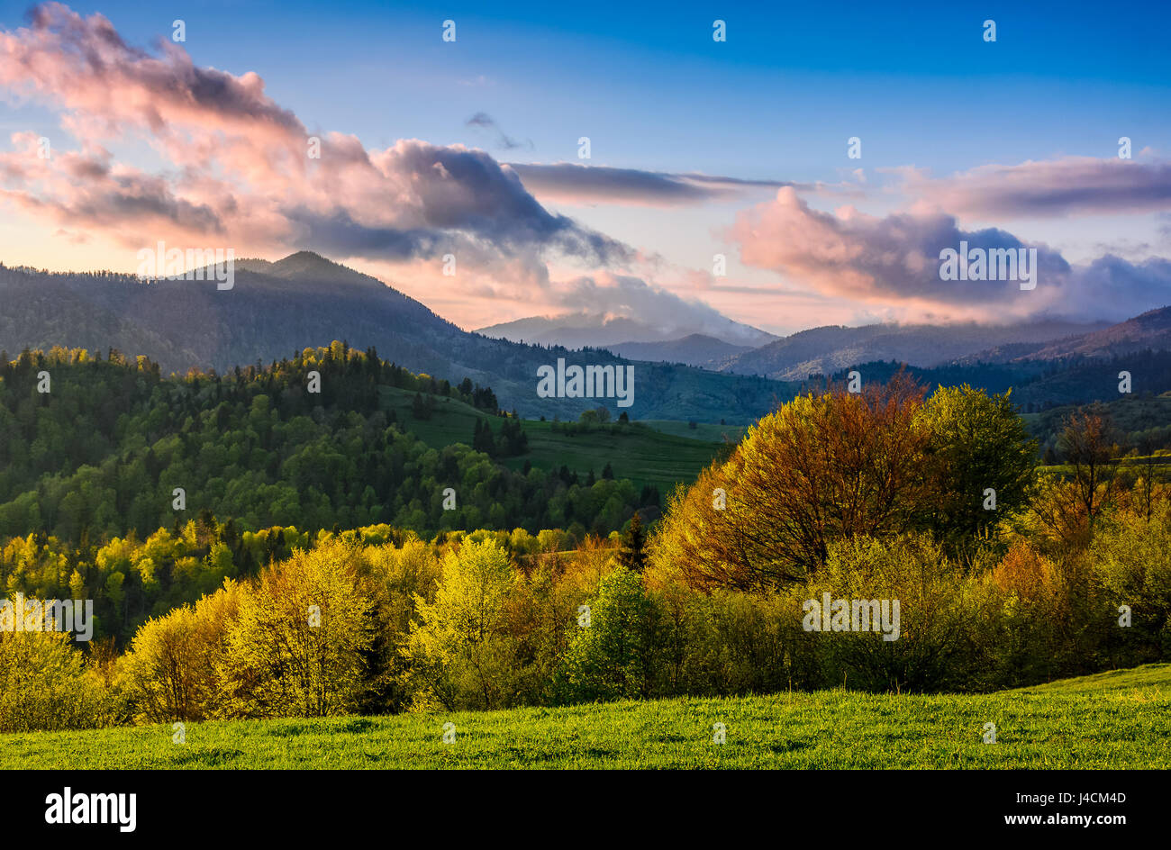 mountain rural area in springtime. agricultural fields on hills with ...