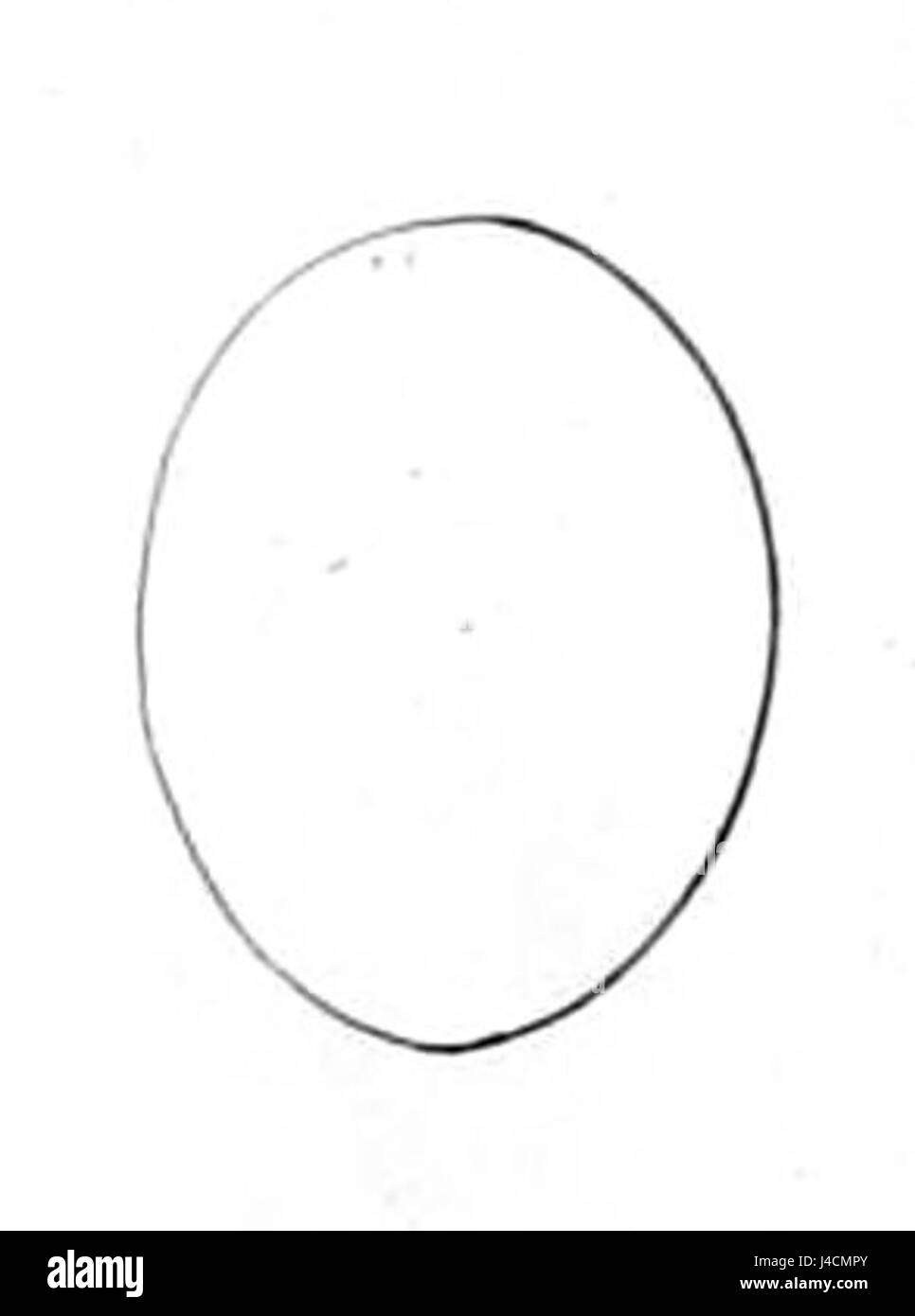 Documented bird Black and White Stock Photos & Images - Alamy