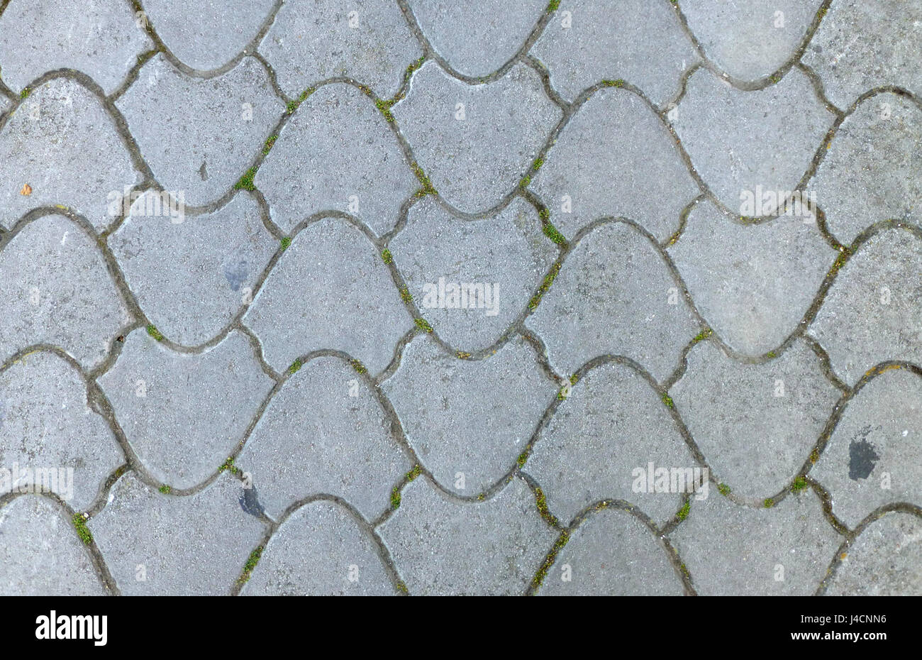 Round tiles used in pavement design create a smooth, uniform texture ...