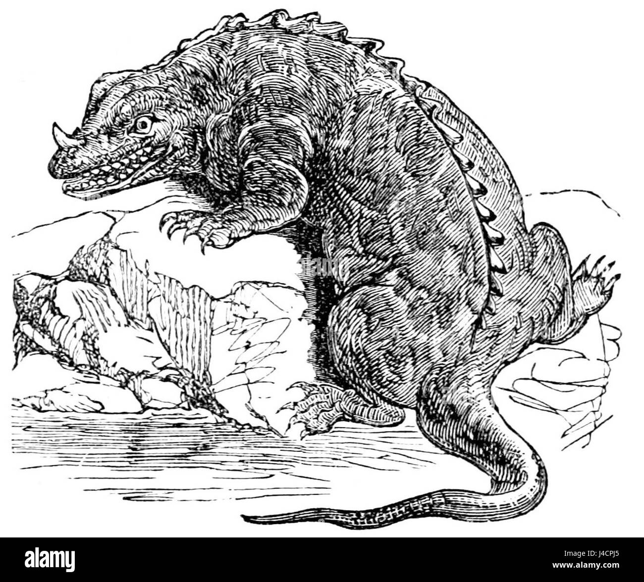 Dinosaur extinct iguanodon illustration hi-res stock photography and ...