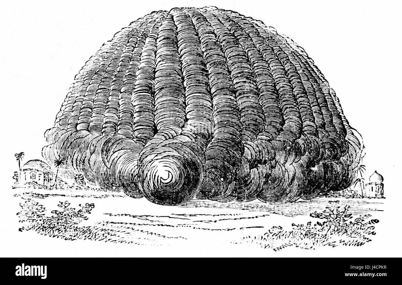 Whirlwind dust hi-res stock photography and images - Alamy