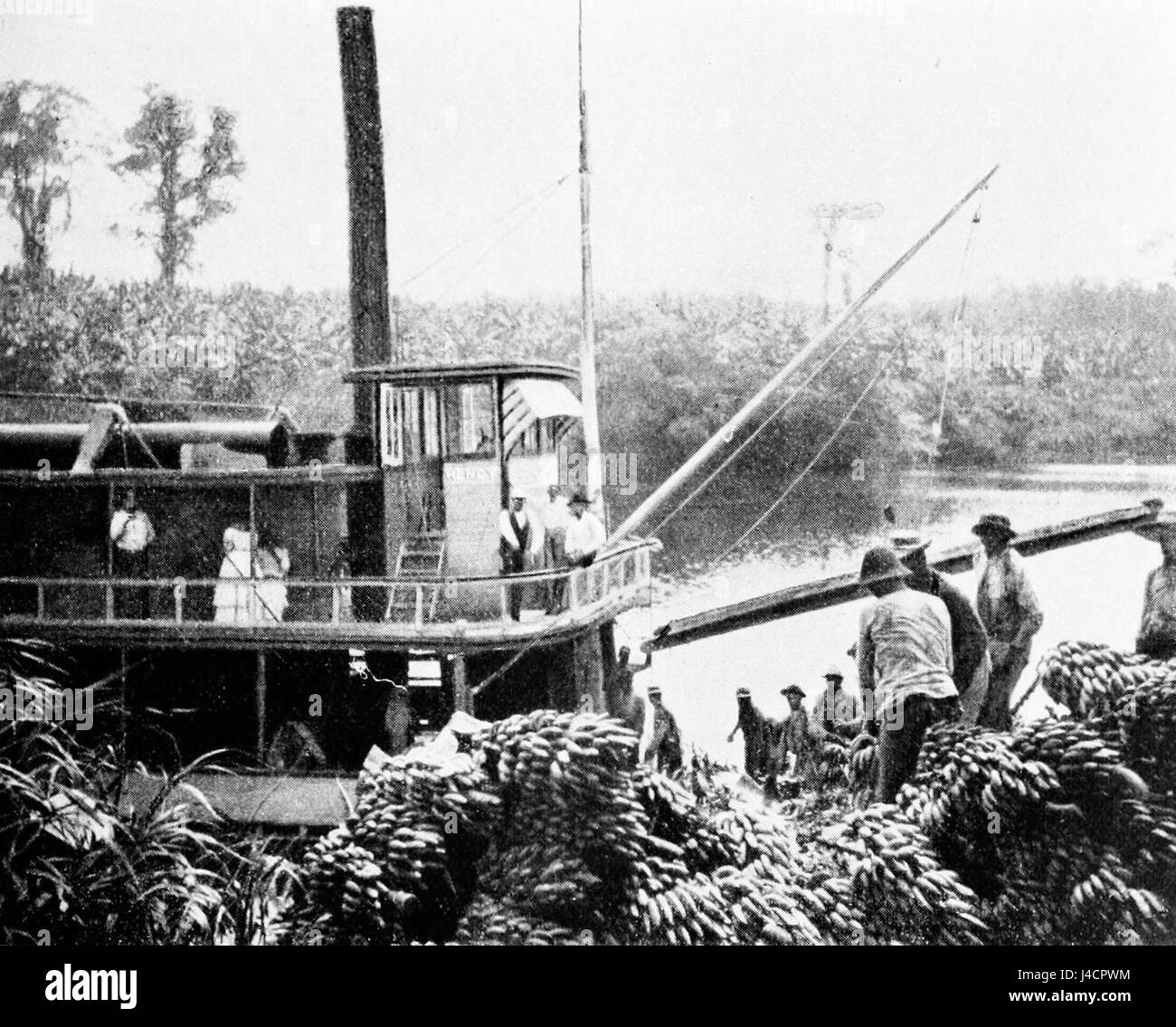 Banana for science hi-res stock photography and images - Alamy