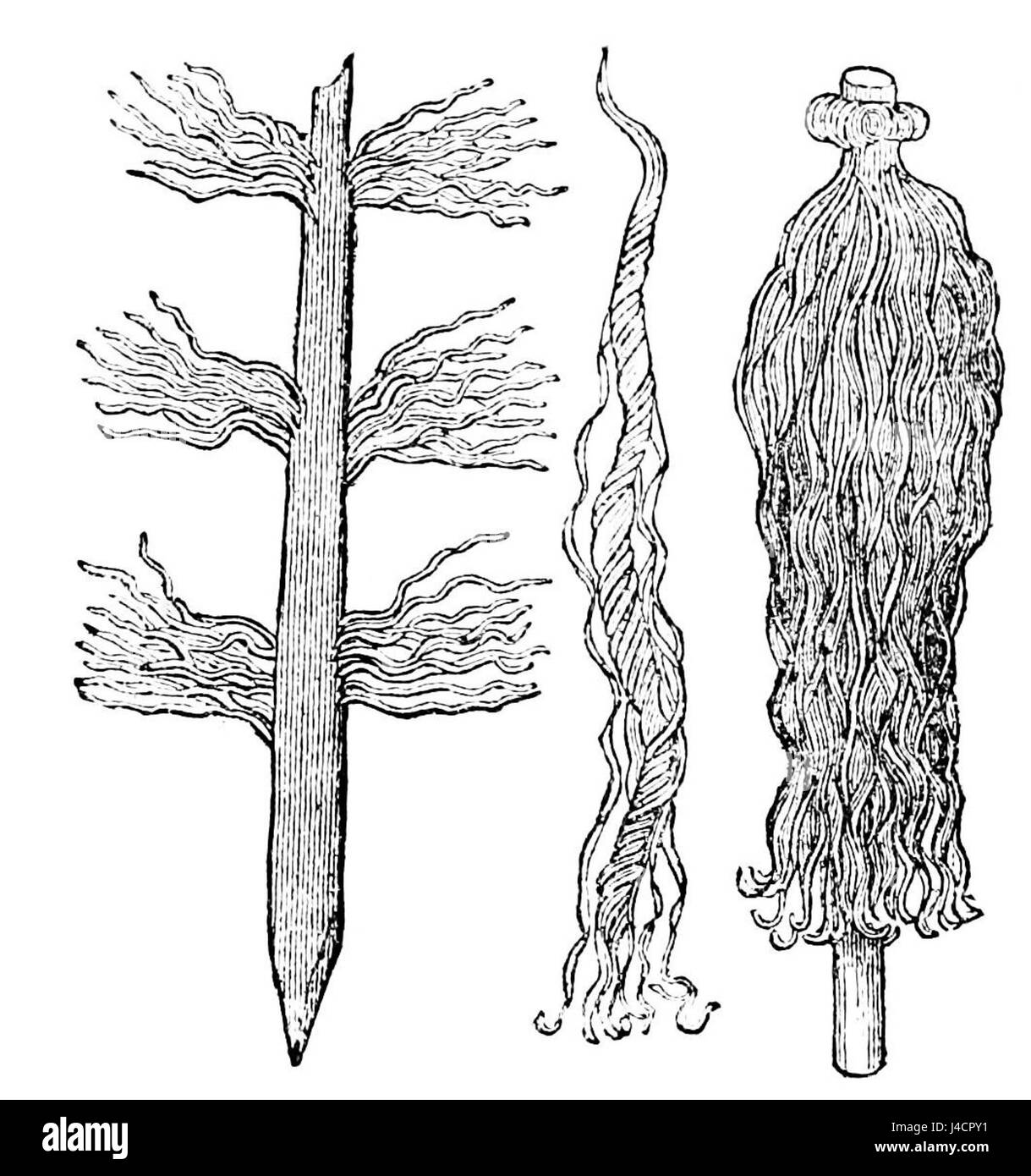 PSM V34 D099 Inao of the ainu Stock Photo - Alamy