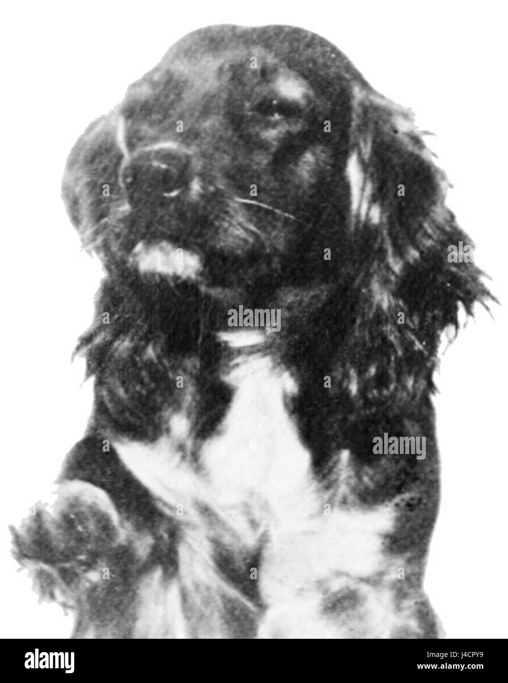 October the Black and White Stock Photos & Images - Alamy