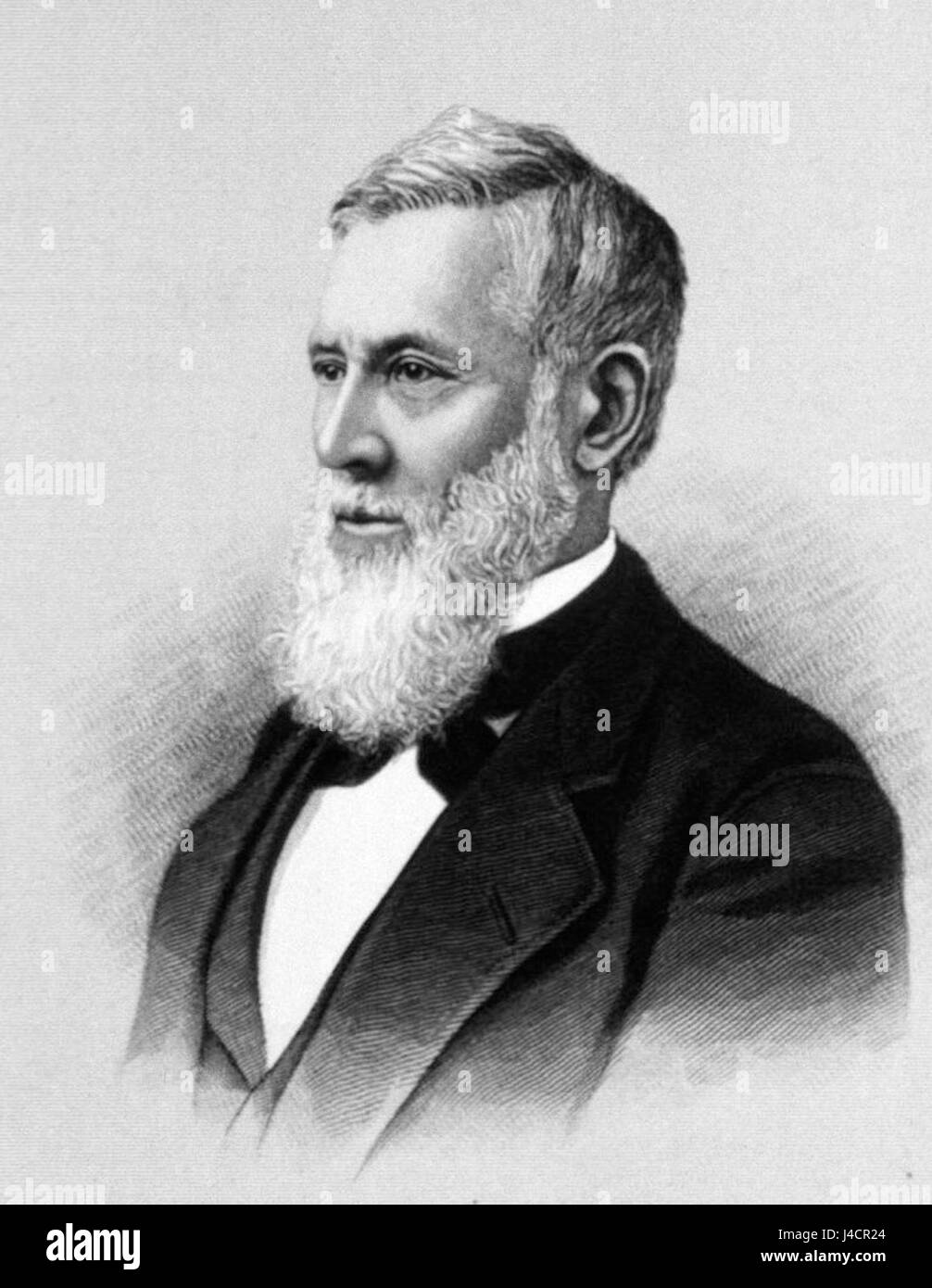 Asa gray hi-res stock photography and images - Alamy